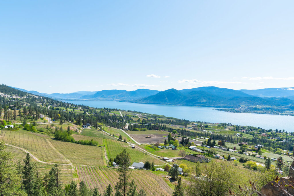 Why Make the Okanagan Your Home - The Mayne Brothers